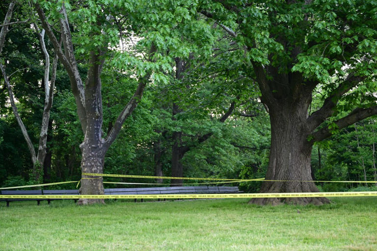 Longtime owner of NYC kosher bakery, 75, found shot to death along ...