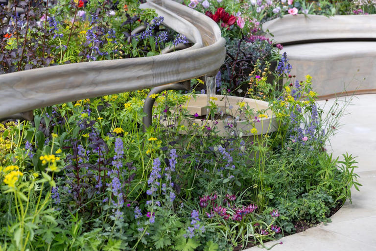 Chelsea Flower Show’s yellow and purple planting trend will instantly ...