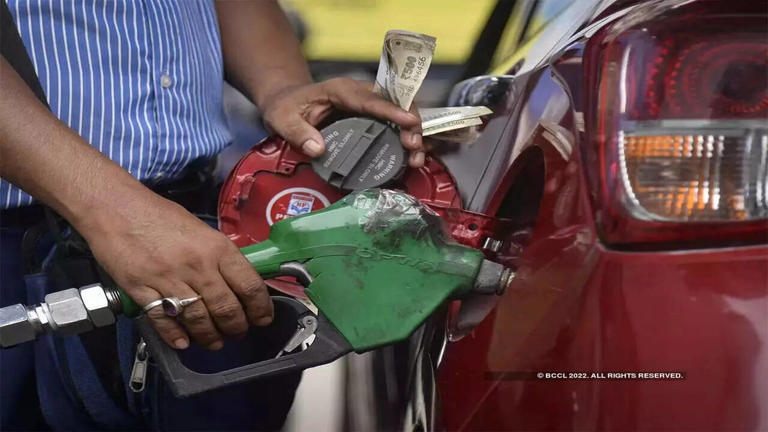 Goa govt urges employees to use public transport, carpool to save fuel