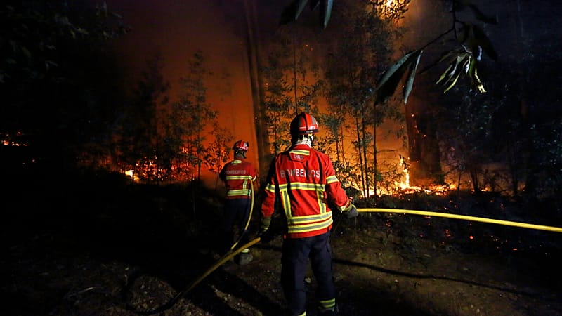 Tempeste creano terreno fertile per gli incendi: come il Portogallo ...