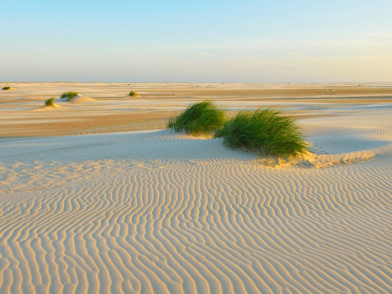 15 km feinster Sandstrand: Europas größter Badestrand liegt in Deutschland