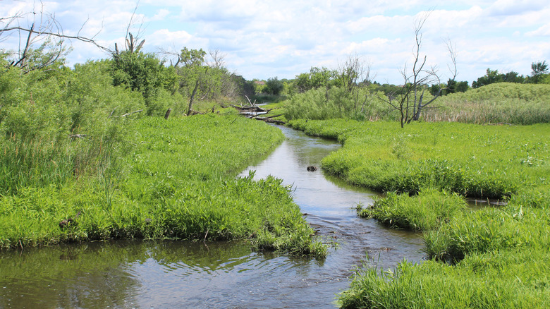 Nestled between Chicago and Rockford is Illinois' lovely state park for ...