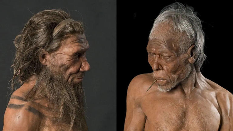 Neanderthals vs Homo sapiens: What separated modern humans from their ...
