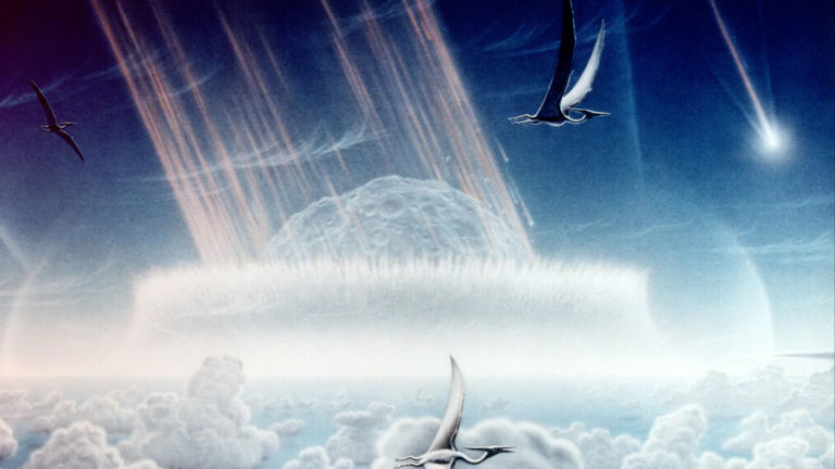There have been 5 mass extinctions. Are we entering the 6th?