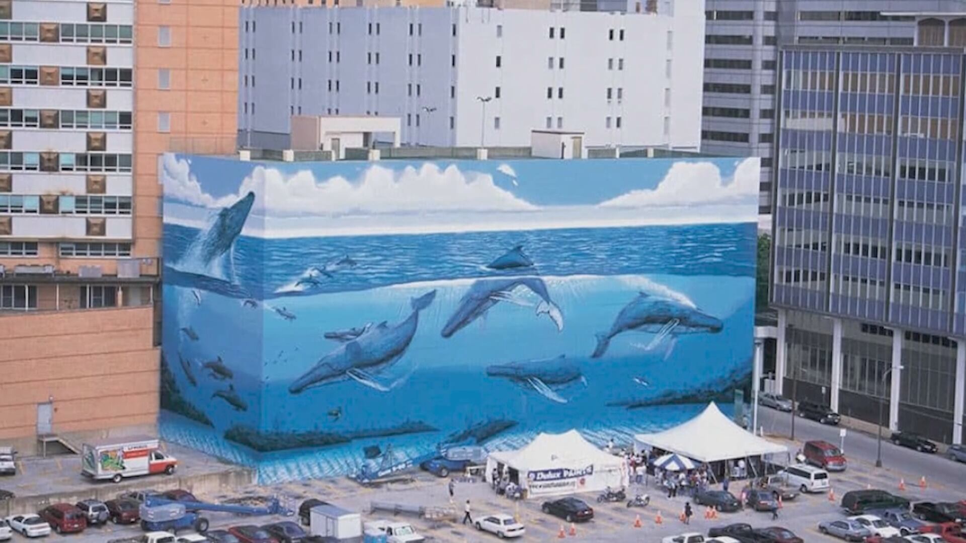 Wyland takes legal action after Dallas whale mural painted over for FIFA