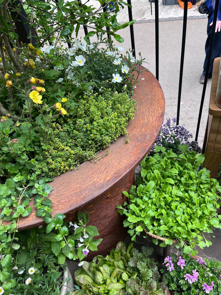 Chelsea Flower Show’s yellow and purple planting trend will instantly ...