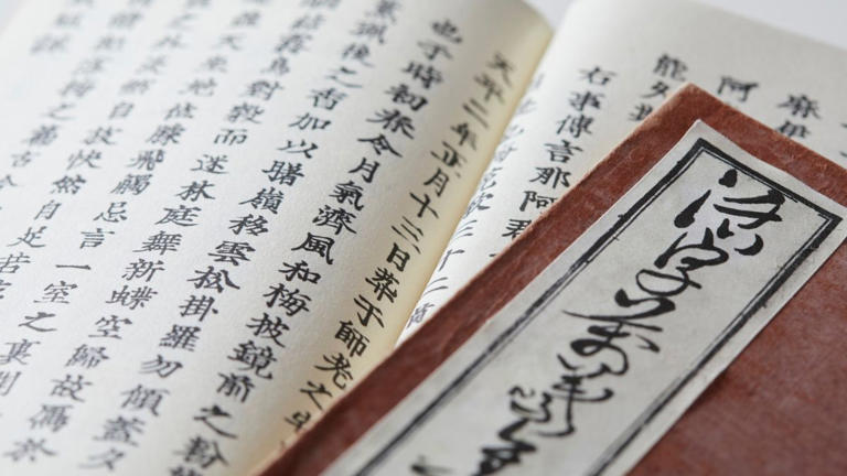 Which language has the most native speakers in the world?