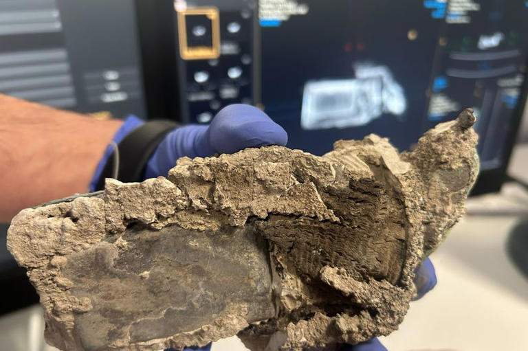 Major new Pompeii discovery as unexpected item found on victim of Mount ...