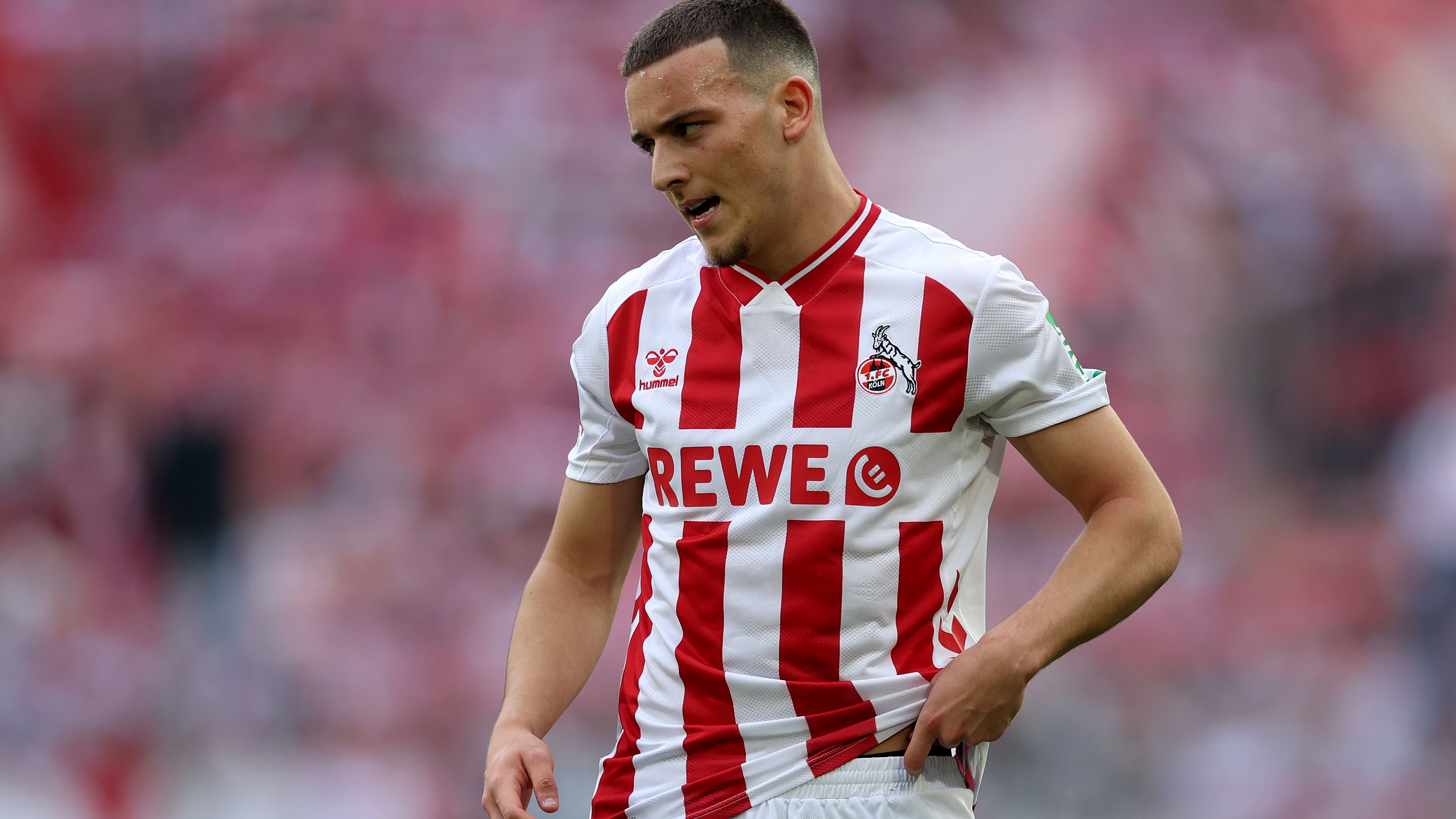 Der 1. FC Köln ist noch immer ratlos: Zwei brisante Gründe für ...