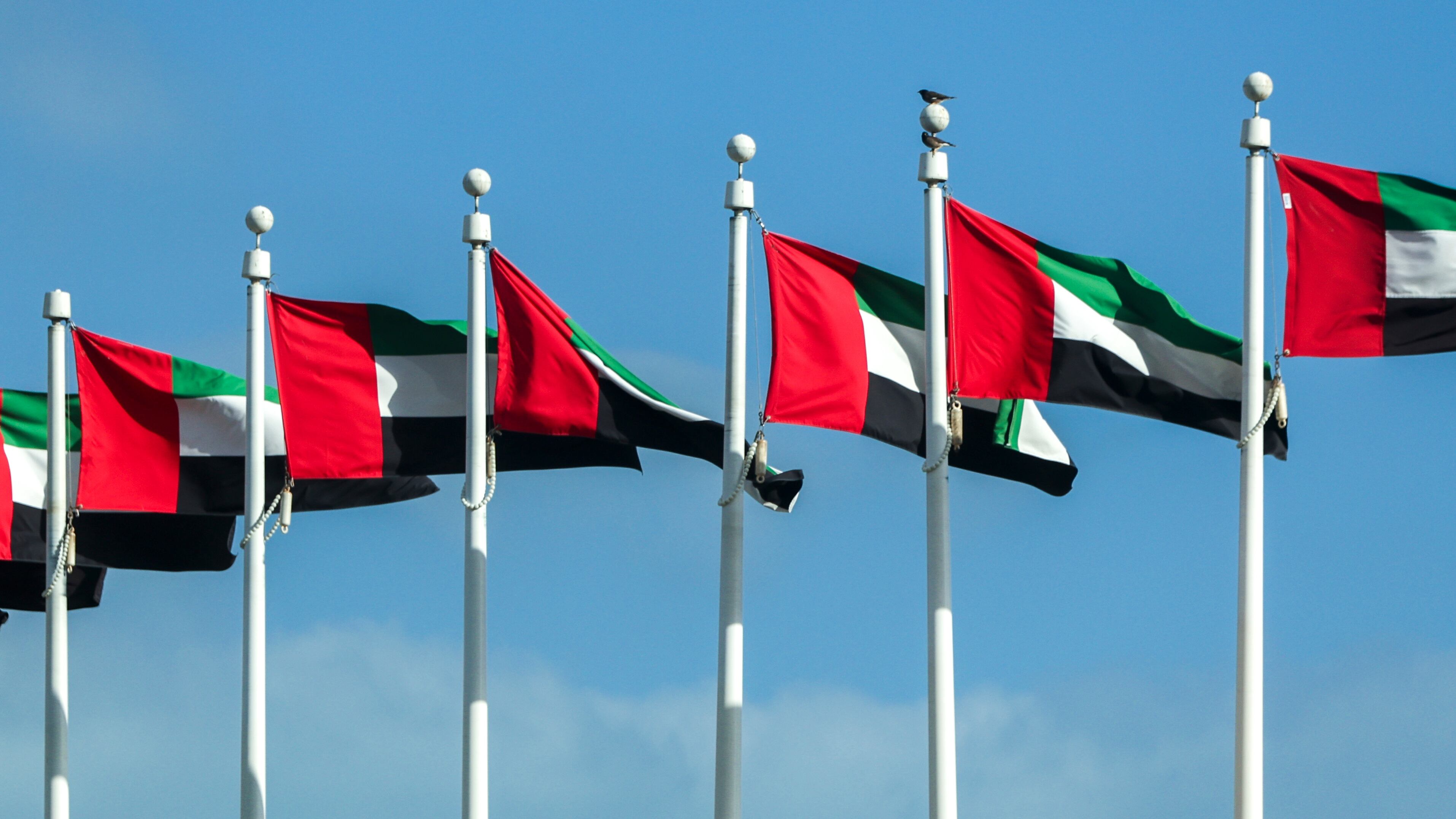UAE committed to supporting regional security in co-ordination with ...