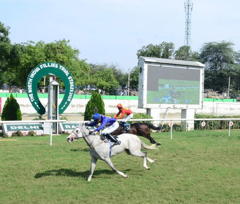 Trouble on Lok Kalyan Marg—Delhi Race Club is fighting Modi govt to ...