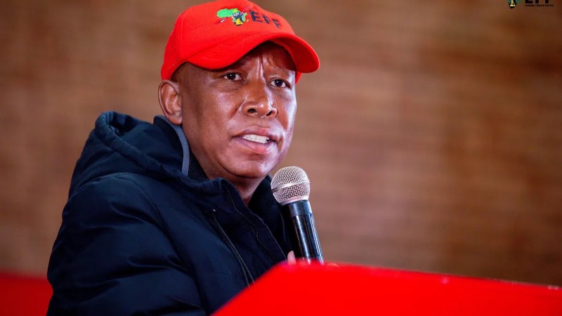 High Court to hear EFF case on finance minister’s fuel levy powers