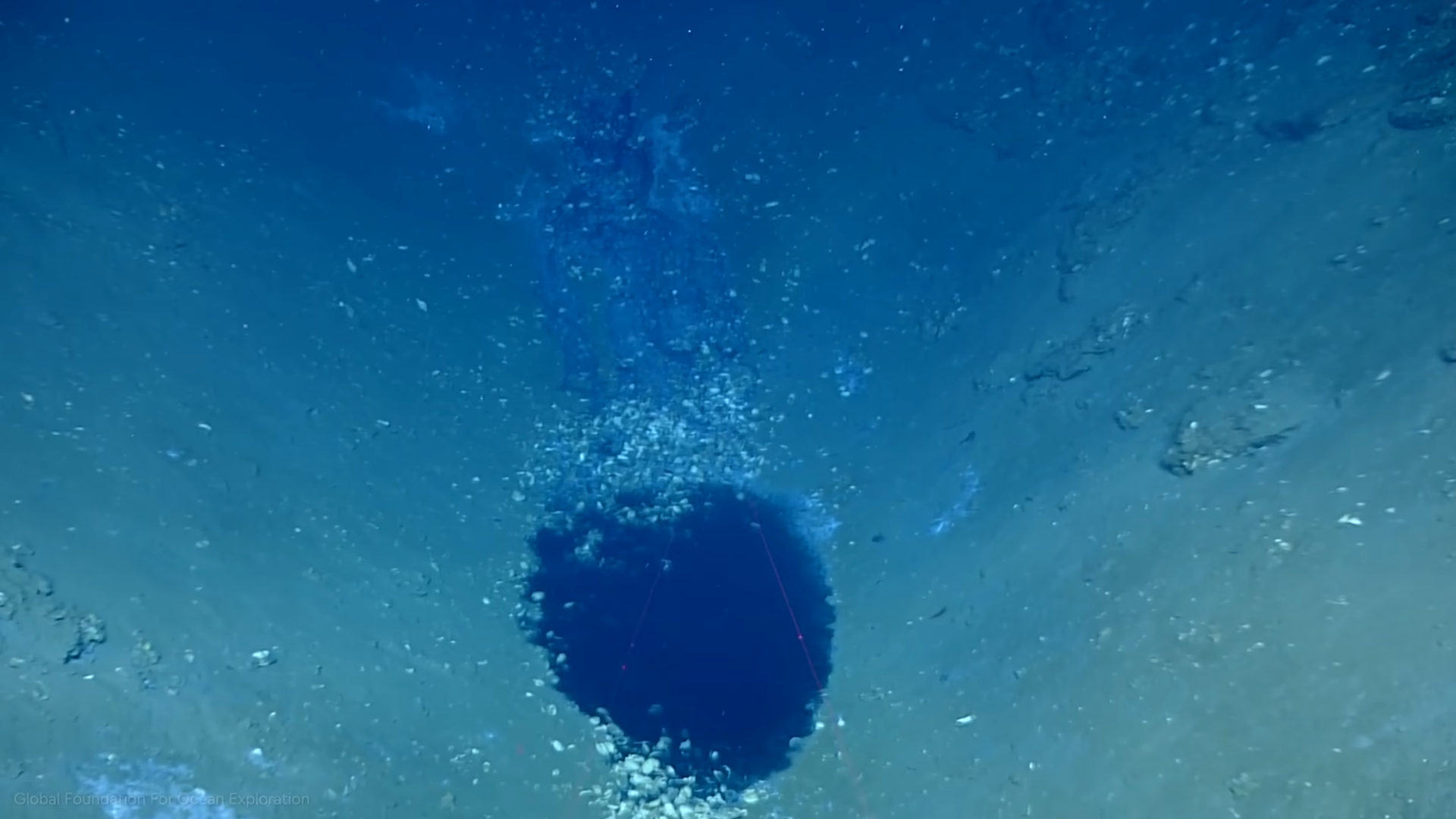 A dark lake sat on the seafloor - then scientists saw the bodies around it