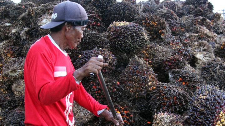 Ekonom UPN Veteran ingatkan ekspor komoditas melalui BUMN