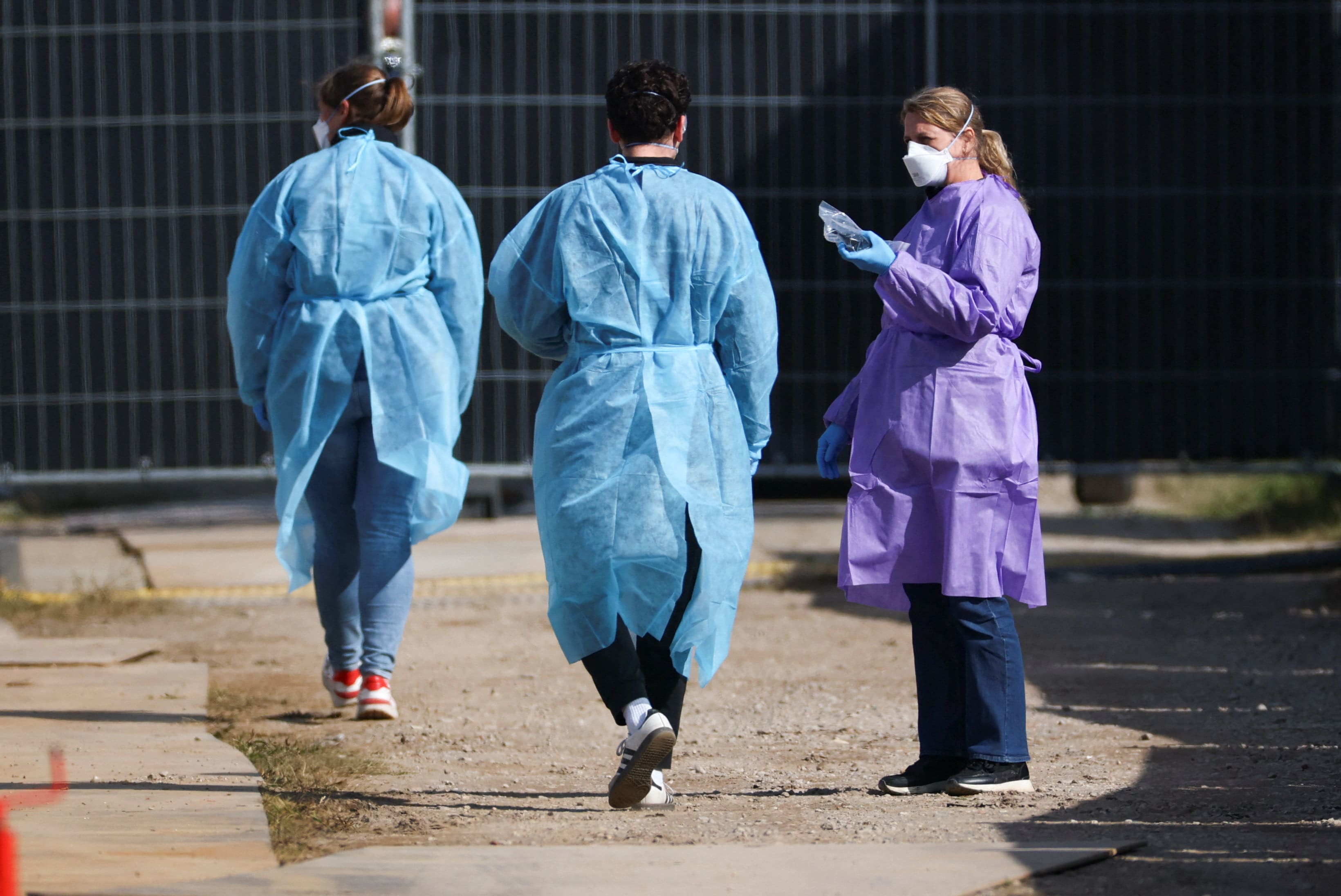 Promising hantavirus vaccine research stalled by funding gap before ...
