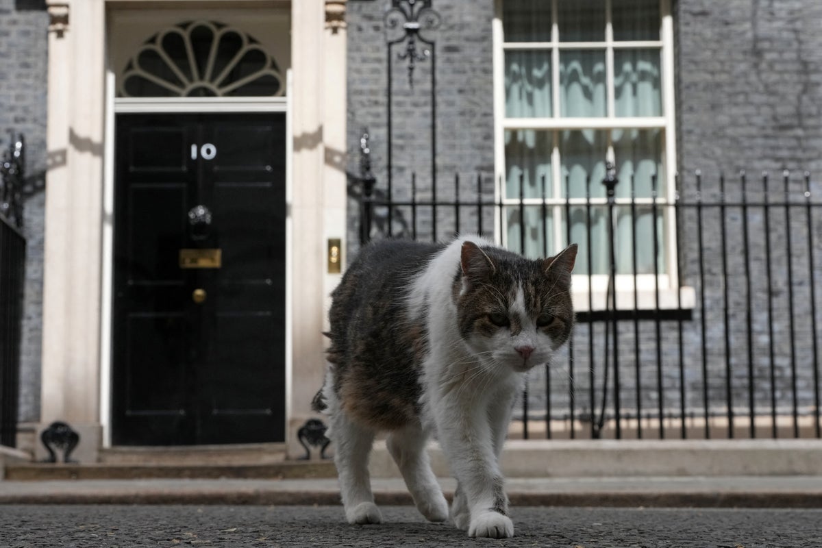 PM jokes Larry the cat 'went through the roof' over renters' rights