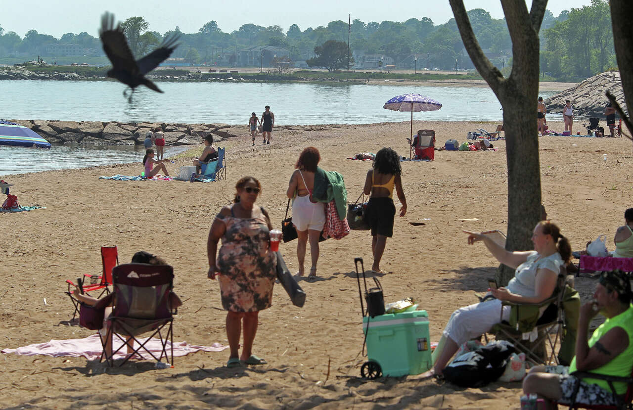 West Haven beach gets poor water-quality grade while one right next to ...