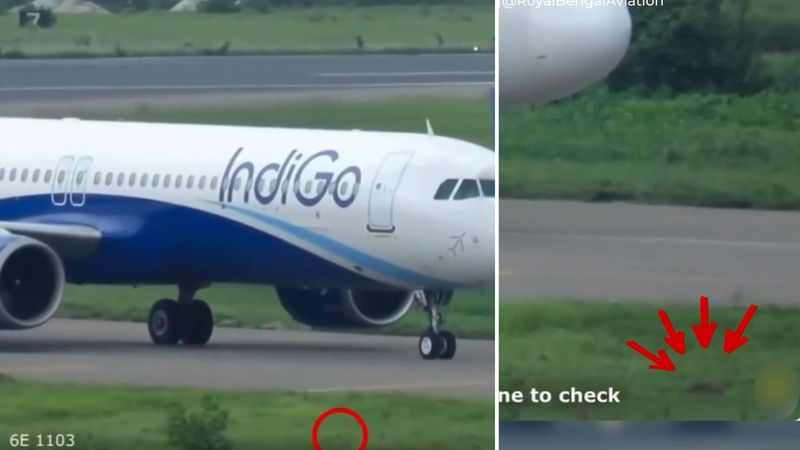 IndiGo Dhaka airport 'jackal scare' ends in comedy as runway mystery ...