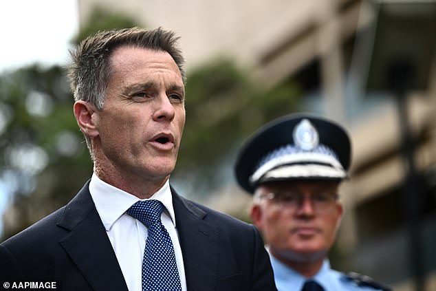 Chris Minns breaks Labor ranks to slam Albo's government - and sides ...