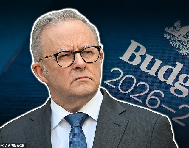 Chris Minns breaks Labor ranks to slam Albo's government - and sides ...