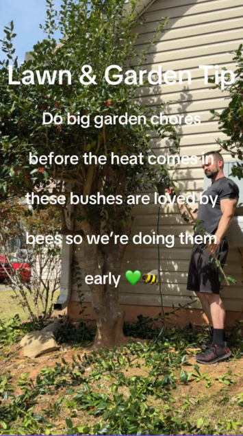 Easy lawn and garden tips