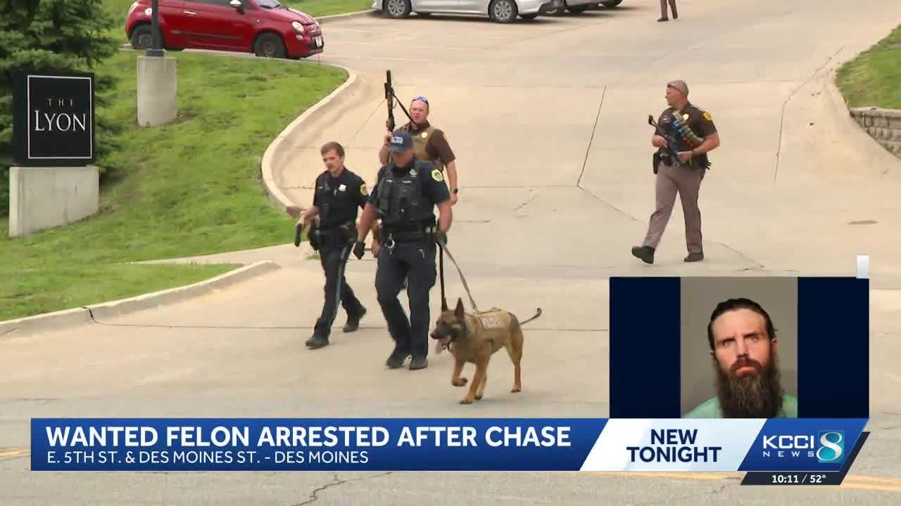Wanted felon arrested after chase and K-9 search in Des Moines
