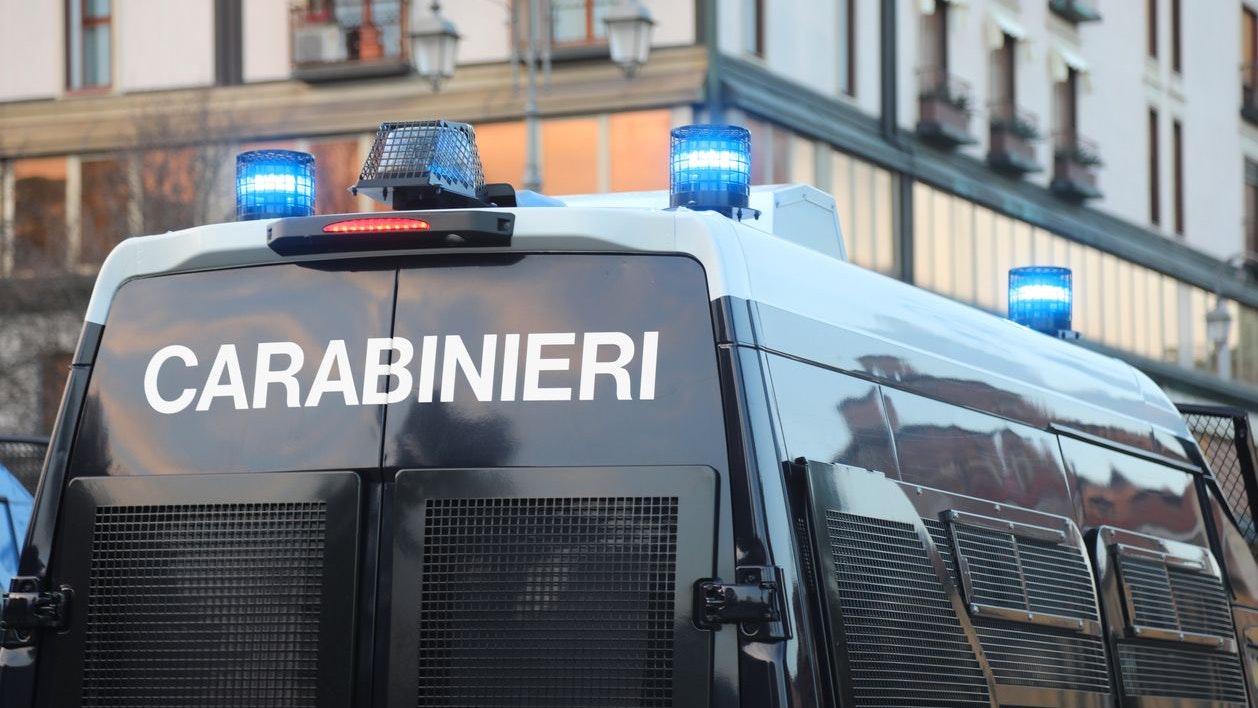 Giftige Asche als Grillkohle nach Österreich verkauft