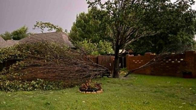 Severe thunderstorms cause widespread power outages, downed trees ...