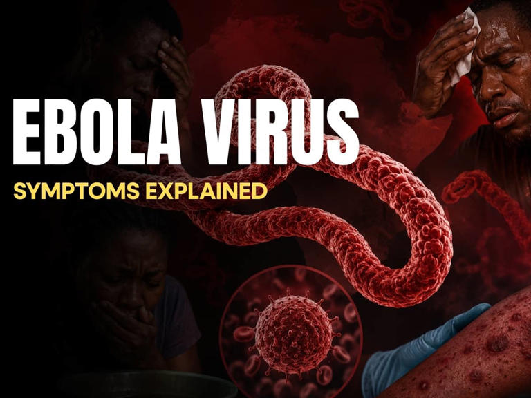Ebola virus outbreak: 5 symptoms of this deadly virus that killed over ...