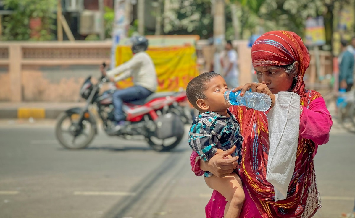 India bakes at 47.6 degrees: Heatwave explained, from urban heat to El Nino