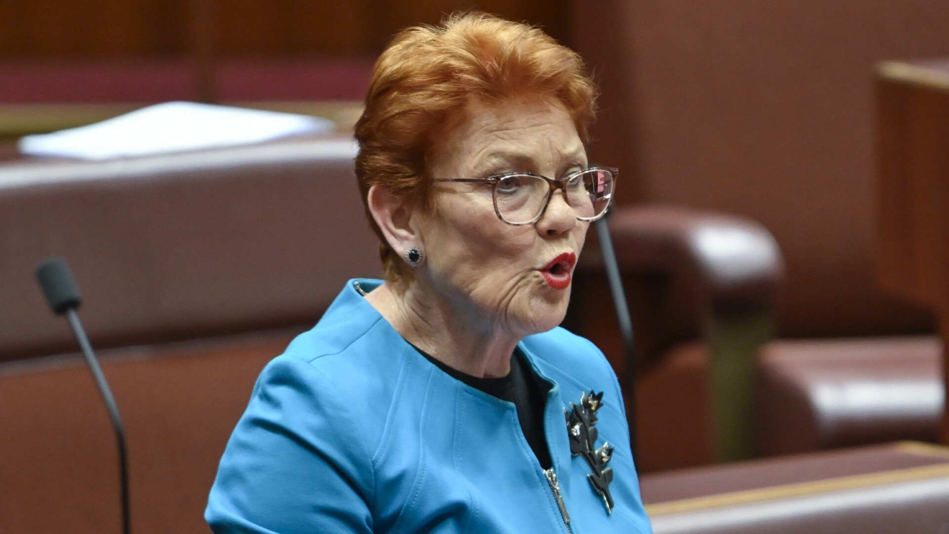 Huge lower house contest set as Pauline Hanson eyes Capricornia seat