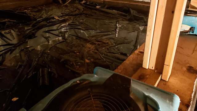 Young family driven from dream home after black oil starts pouring ...