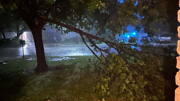 Severe thunderstorms cause widespread power outages, downed trees ...