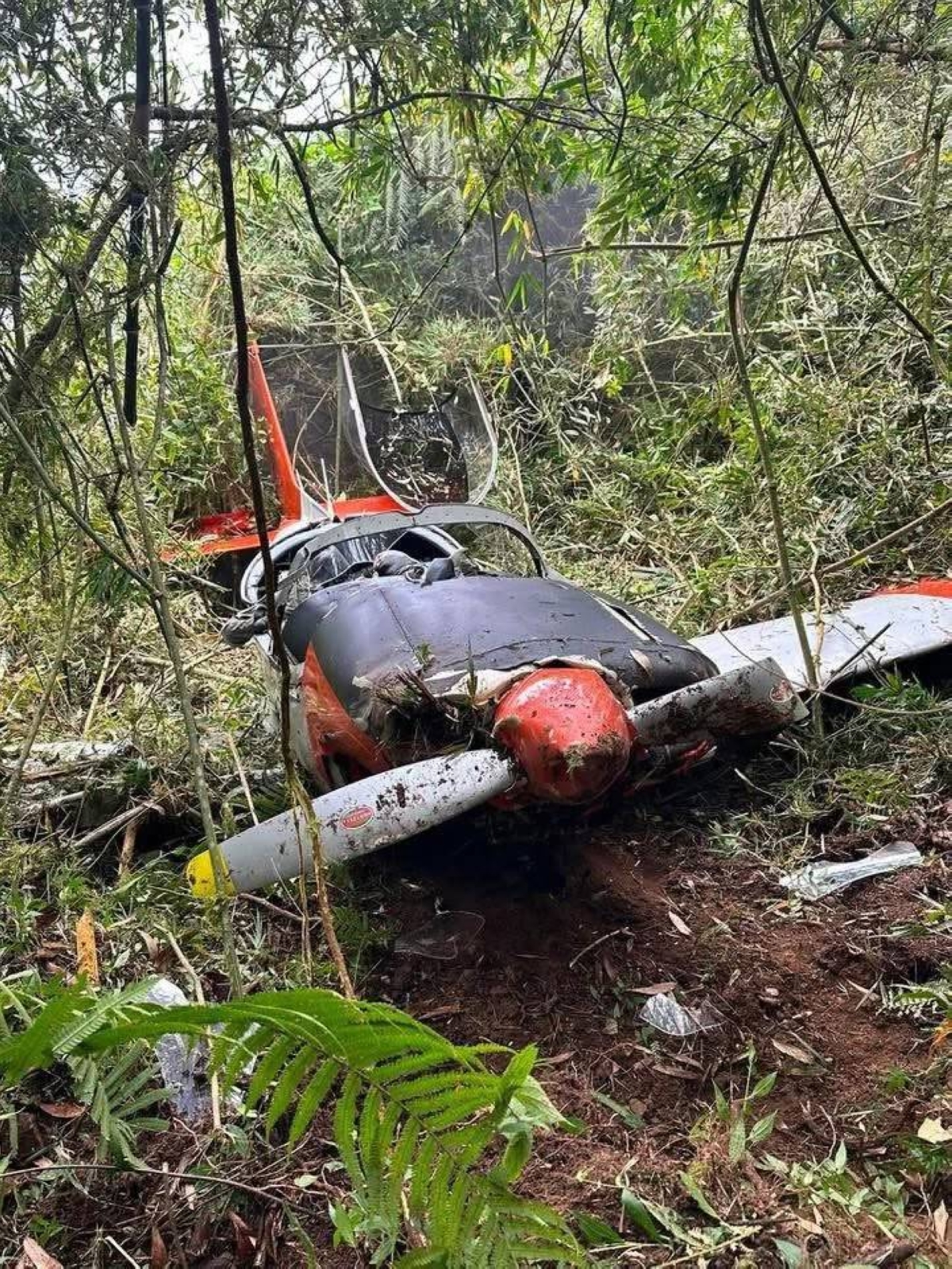 PAF aircraft crashes in Benguet