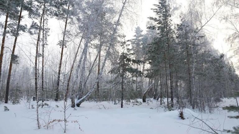 This remote village in Russia wakes up to 'Hare Krishna'; how Indian ...