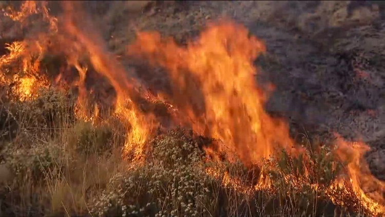 Brush fire in southeast San Diego County shuts down part of the I-8 ...