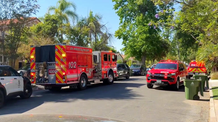 4-year-old child found dead inside vehicle in Valley Village
