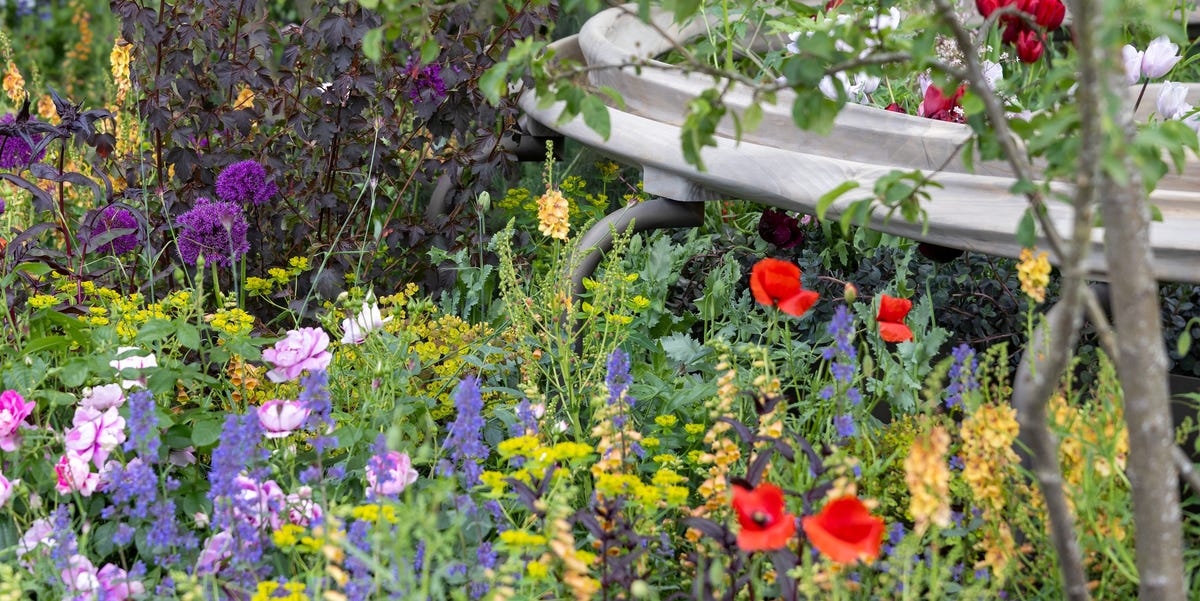 The 3 plants designers couldn’t stop using at this year’s Chelsea ...
