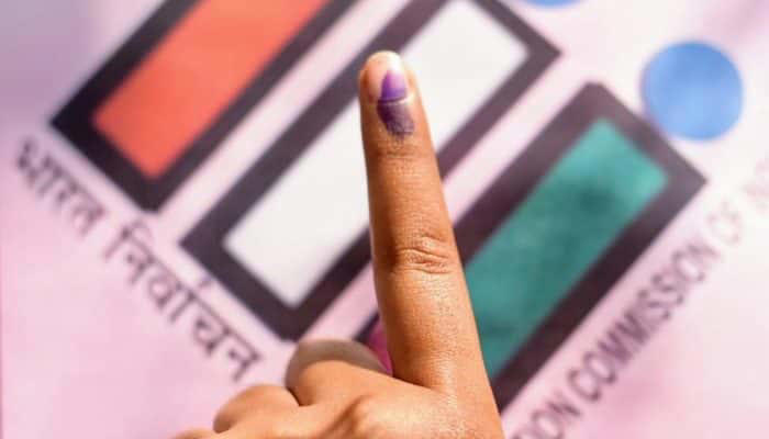 Himachal Pradesh panchayat poll results: Over 10,800 candidates elected ...