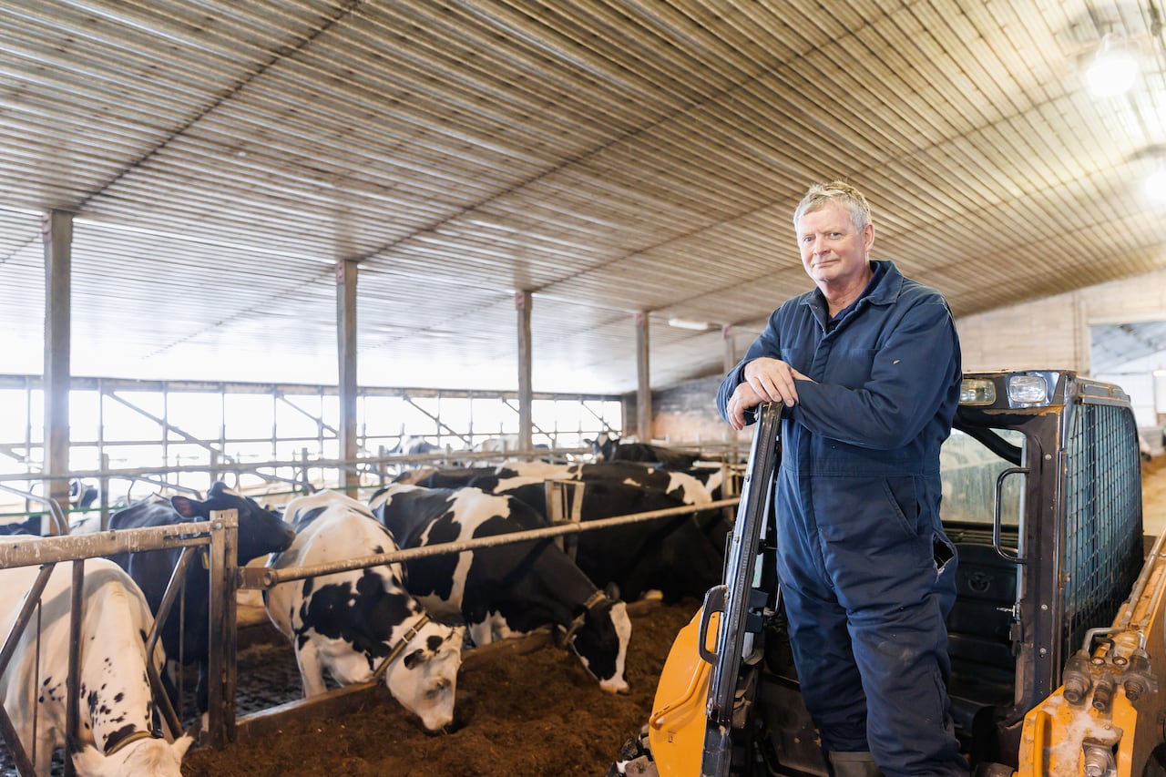 Protein shakes and the shakeup of NB.'s dairy industry