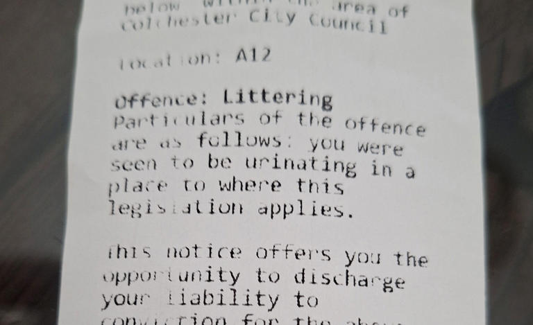 Council accused of hiding operatives to fine peeing lorry drivers