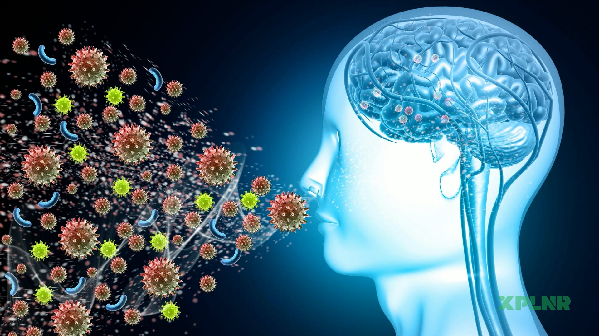 Are infectious diseases more dangerous now? The chilling reality of ...