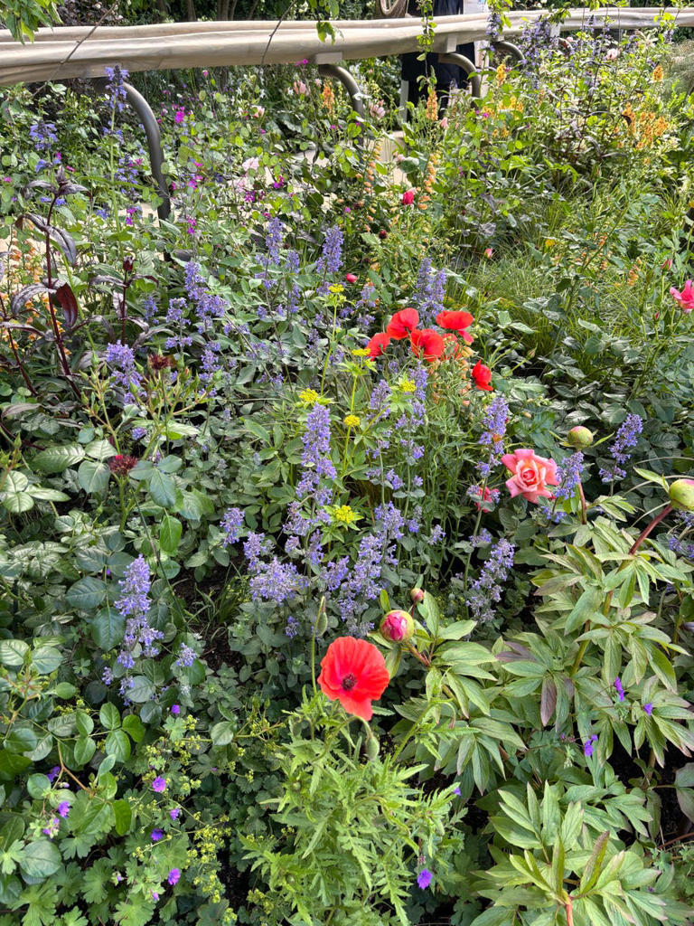The 3 plants designers couldn’t stop using at this year’s Chelsea ...