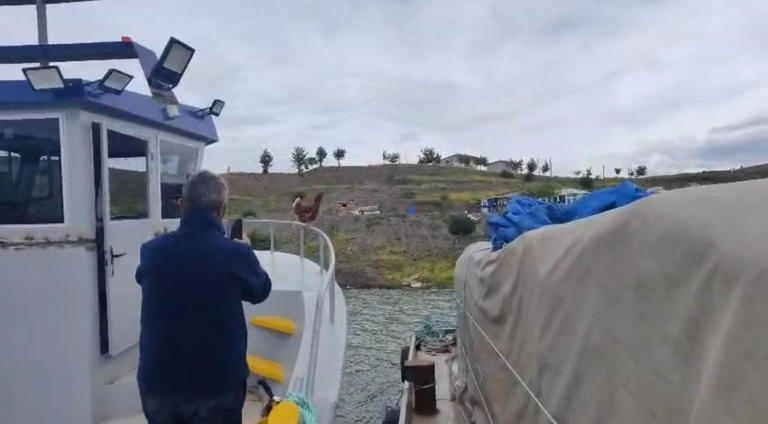Yozgat’ta 'Kaptan Tavuk' görenleri gülümsetti