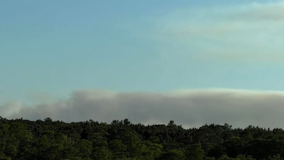 Prescribed burn in Georgetown Co. blankets Horry Co. with smoke