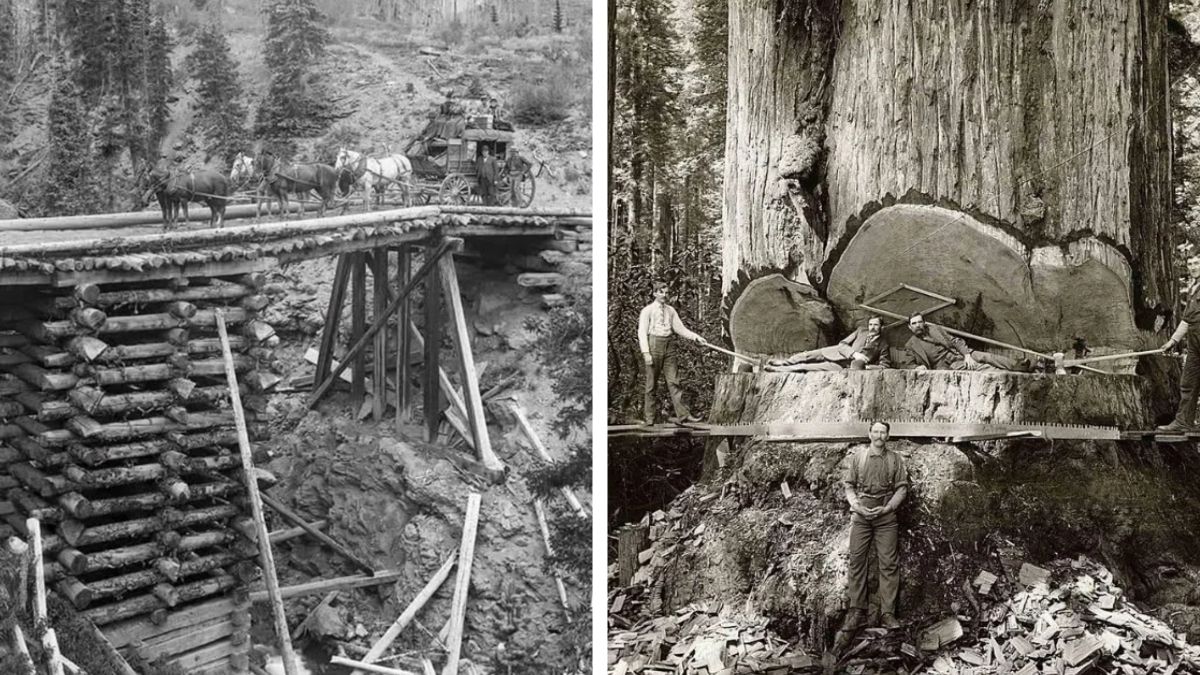 35 vintage photos from the late 1880s