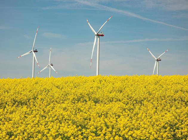 Grüne Jobs boomen: Jede dritte ausgeschriebene Stelle hat Green-Economy ...