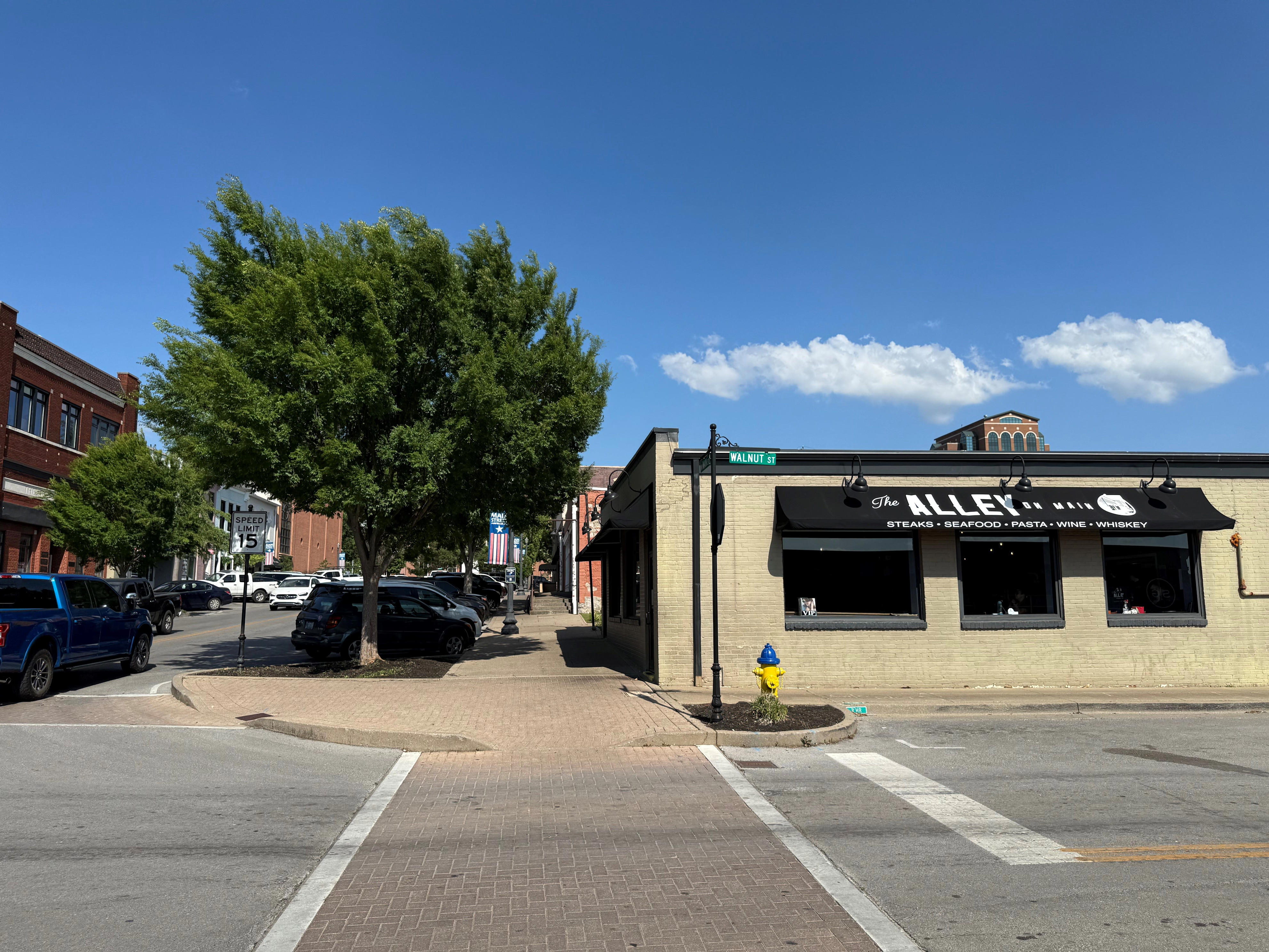 Alley on Main owners plan new restaurant with pizza, 2 wedding venues