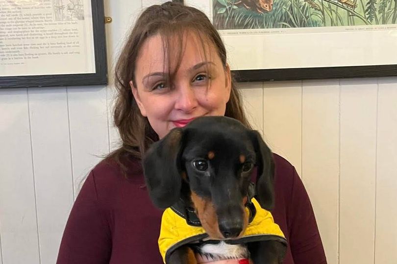 Hero dachshund saves 'lucky' owner from 'XL Bully attack' in Cambridge