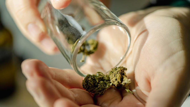 Flight passengers now allowed to bring weed on planes after Trump ...